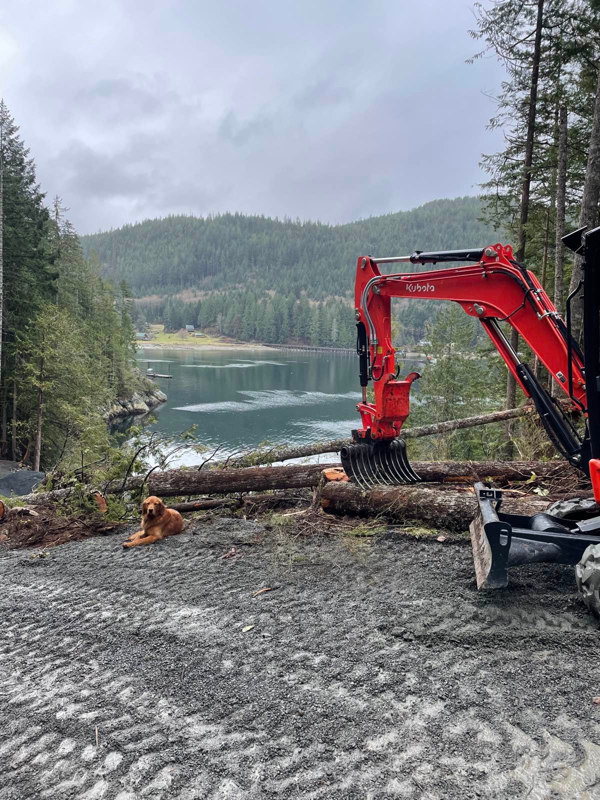 Guides for Vancouver Island Property Owners | Swell Farms